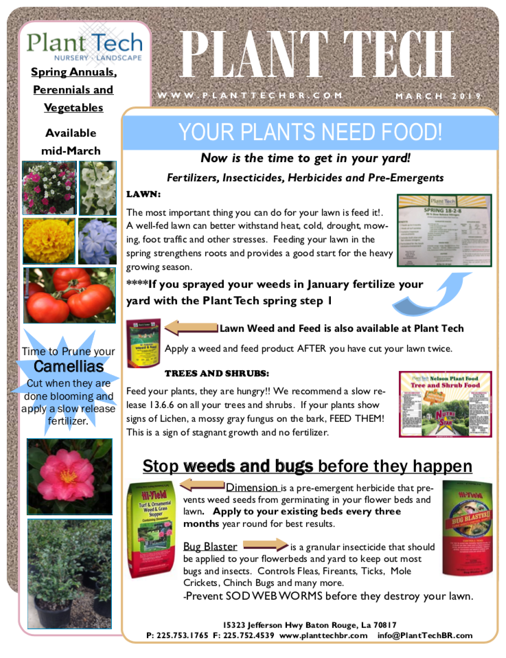 Products & Services – Plant Tech