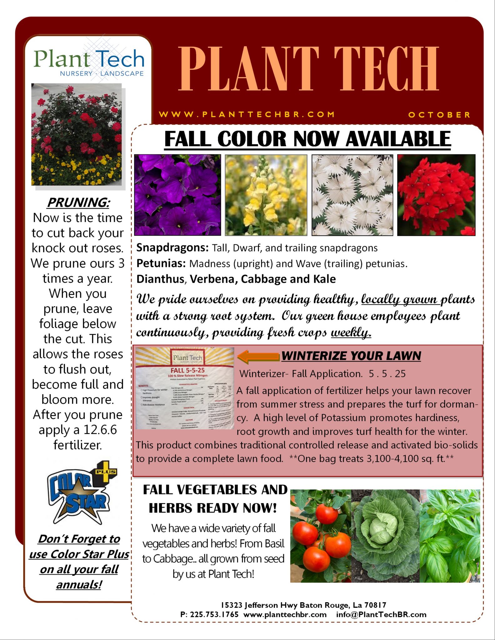 Newsletter – Plant Tech
